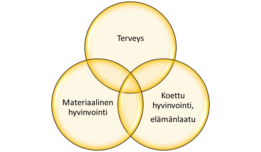 Hyvinvointikertomus